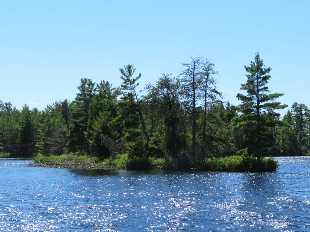 Voyageurs National Park - Minnesota - Trail 2 Blaze