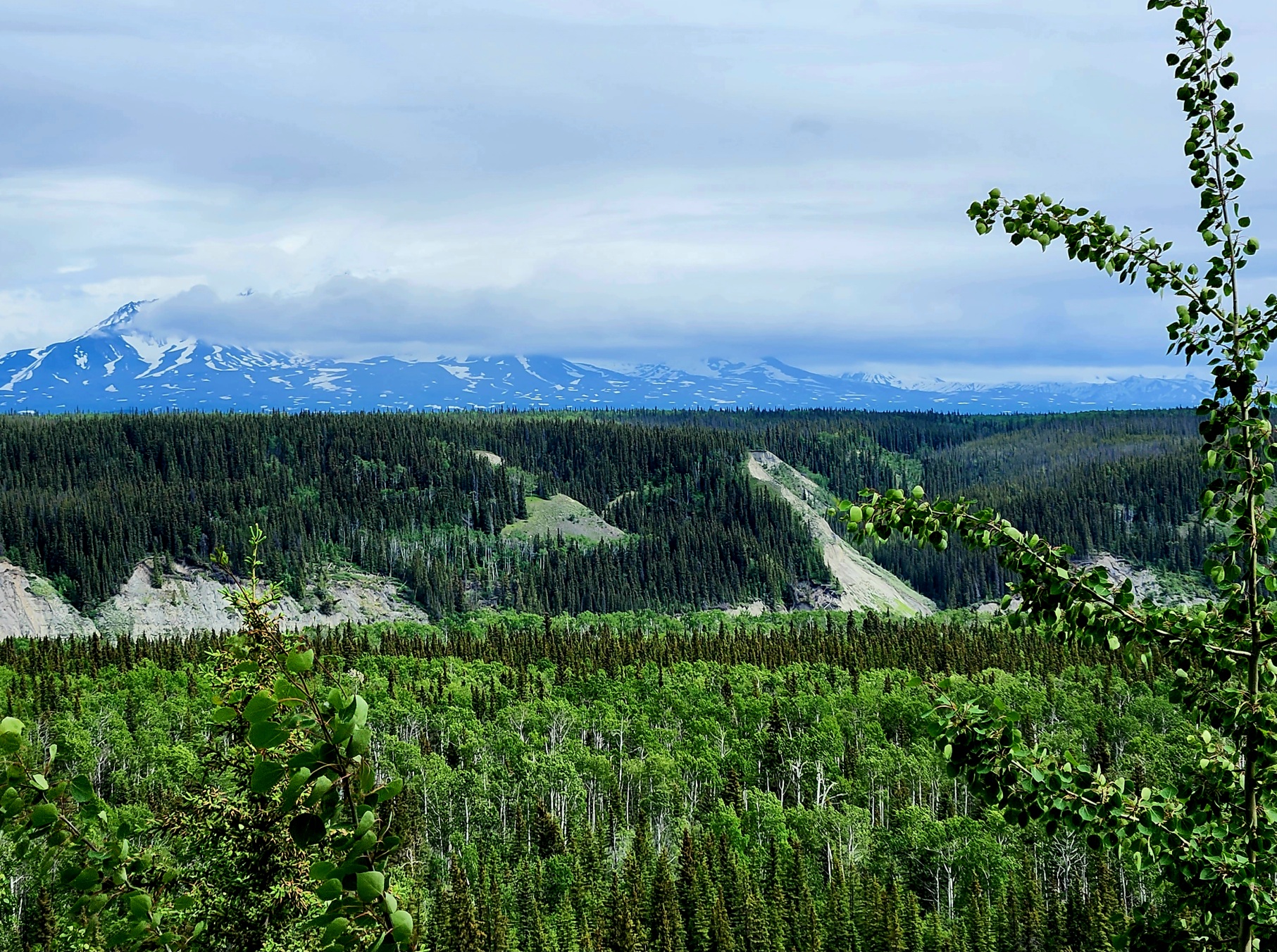 Alaska-Part 4-The Alaskan Interior - Trail 2 Blaze